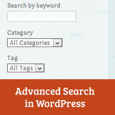 How to Add an Advanced Search Box in WordPress using Facetious