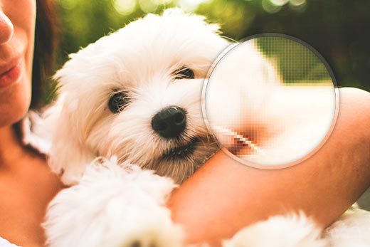 How To Resize And Make Images Larger Without Losing Quality