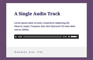 How to Add Audio Files and Create Playlists in WordPress