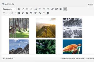 How to Display WordPress Photos in Columns and Rows