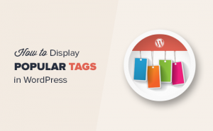 How to Display Most Popular Tags in WordPress