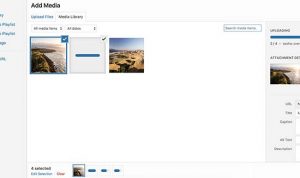 How to Bulk Upload WordPress Media Files using FTP