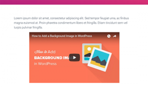Beginner's Guide: How to Center Align a Video in WordPress