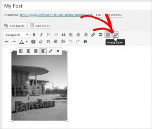 How to Add Magnifying Zoom for Images in WordPress