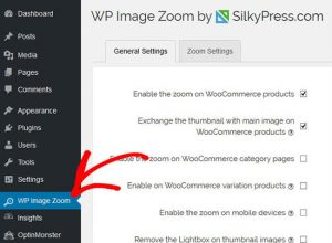 How to Add Magnifying Zoom for Images in WordPress