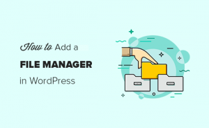 How to Add a FTP like File Manager in Your WordPress Dashboard