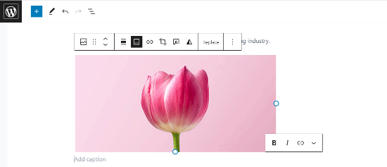 How to Add Caption to Images in WordPress (Beginner's Tutorial)