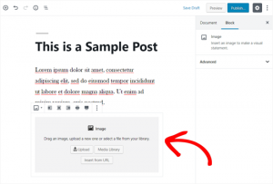 How to Add Caption to Images in WordPress