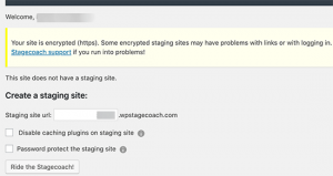 How to Easily Create a Staging Site for WordPress (Step by Step)