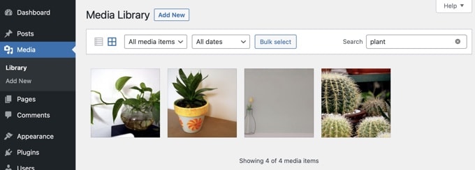Beginner's Guide to Image SEO - Optimize Images for Search Engines