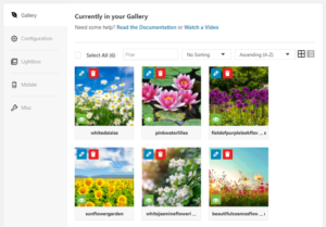 How to Create an Image Gallery in WordPress (Step by Step)