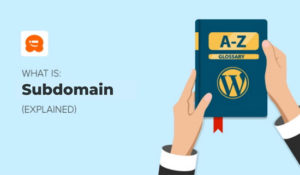 What are Subdomains? (Definition and Examples)
