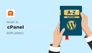 What is cPanel? How to use cPanel in WordPress hosting?