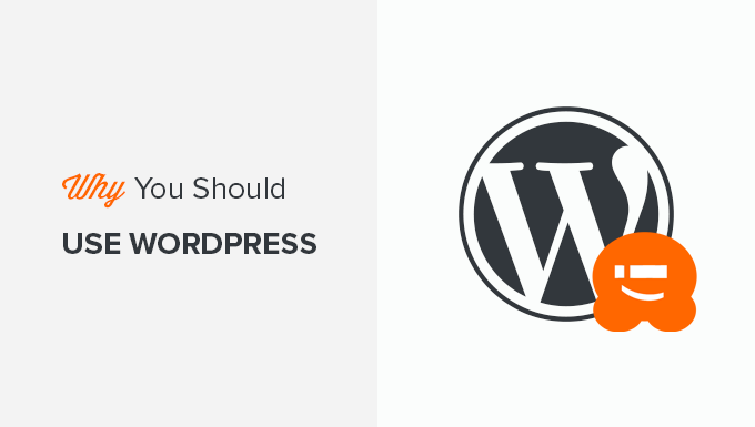 What Is Wordpress For Beginners QuyaSoft