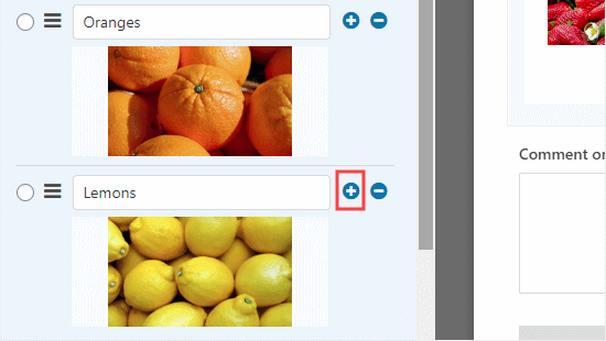 How to Add Image Choices in WordPress Forms