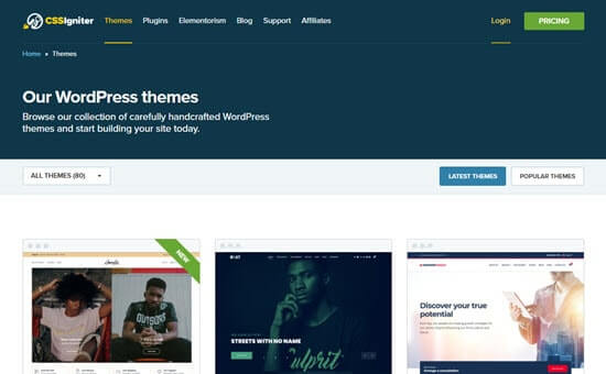 27 Best Commercial WordPress Theme Shops (2022)