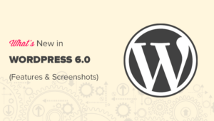 What's New in WordPress 6.0 (Features and Screenshots)