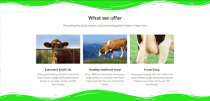 How to Create a Custom Shape Divider in WordPress (2 Ways)
